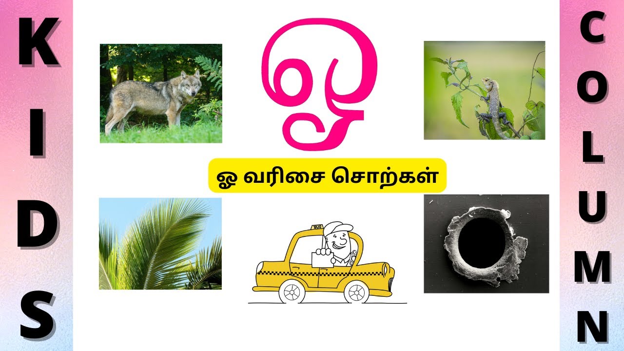 OO Varisai Sorkkal | ஒ வரிசை சொற்கள் | உயிரெழுத்துக்கள்-ஓ |Uyir ...