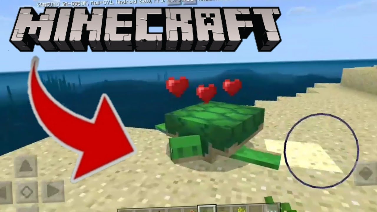 COMO DOMESTICAR Y MONTAR UNA TORTUGA EN MINECRAFT PE 1.7.0.2 / TRUCOS ...