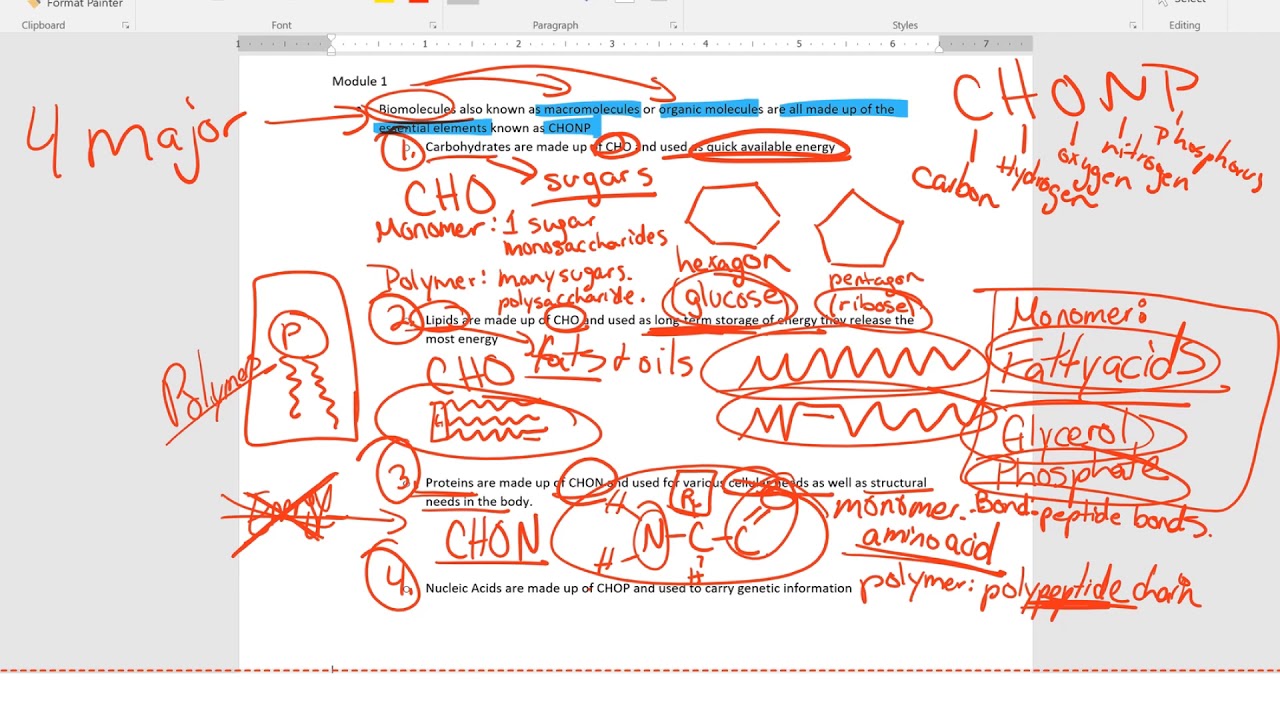 Fall Semester Exam Review - YouTube