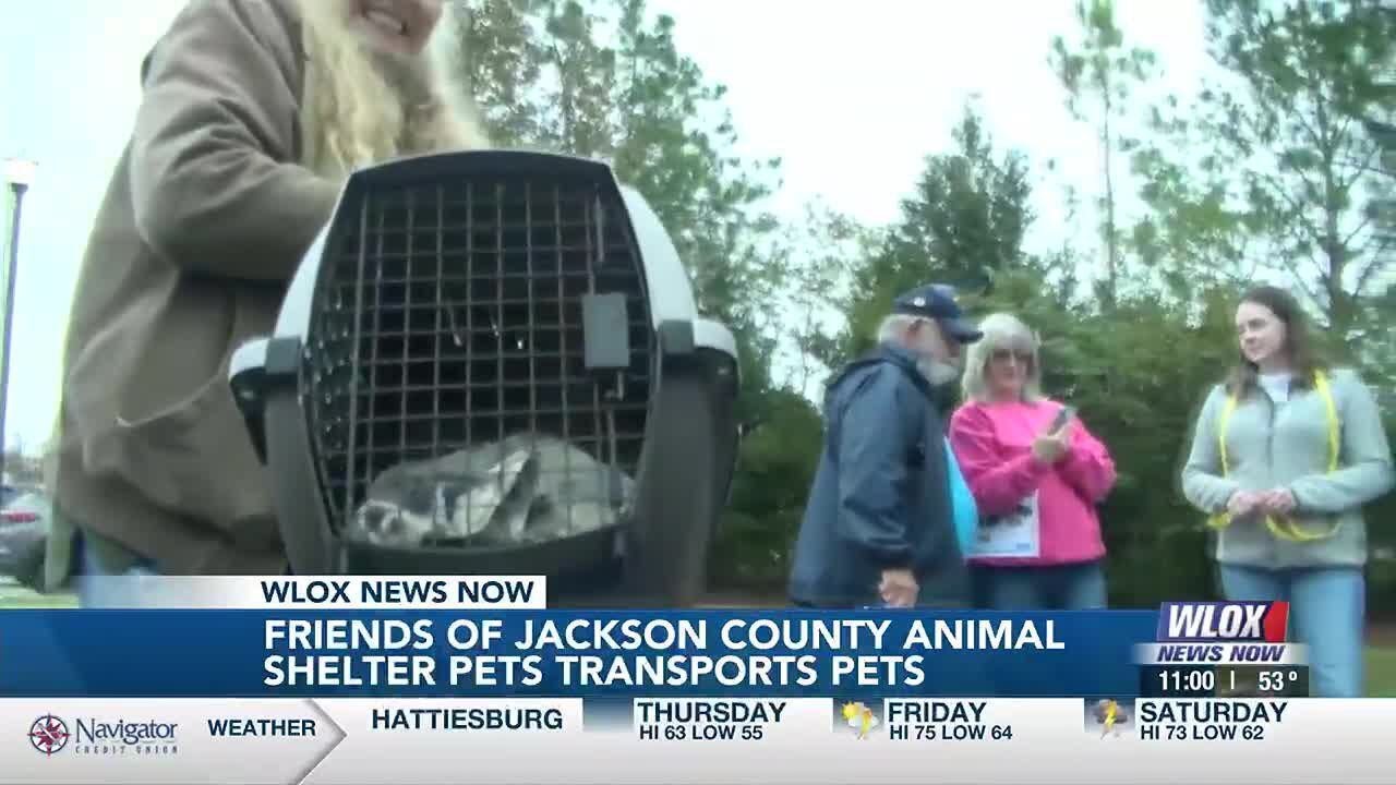 Friends of Jackson Co. Animal Shelter Pets transports pets north - YouTube