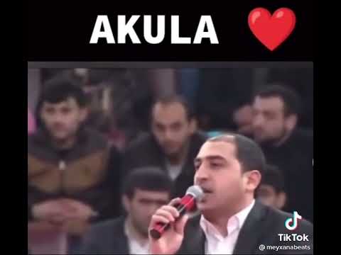 Vüqar Biləcəri yatmağa get yatmağa remix