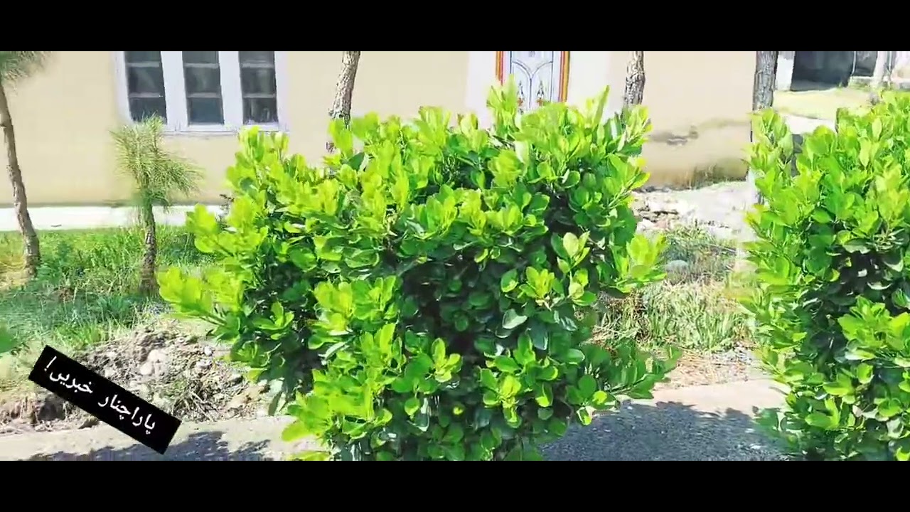 Beautiful |Pleasant weather Parachinar - YouTube