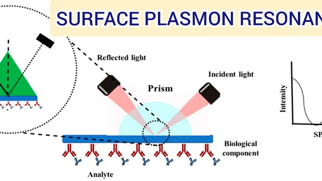 Surface Plasmon Resonance #SPR #nanotechnology #Optical properties # ...