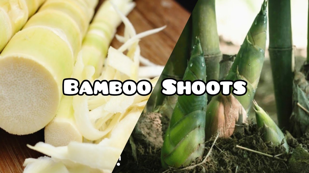 Slicing Bamboo Shoots with Shells #igi #suso - YouTube