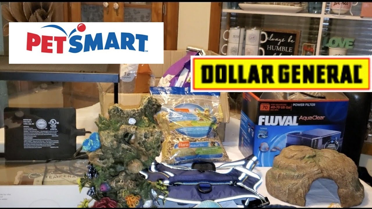 Dumpster Diving | Pet Smart | Dollar General | #reducingwaste - YouTube