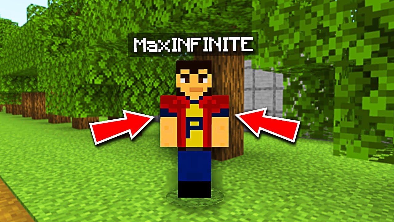 Daca il vezi pe MaxINFINITE in MINECRAFT.. ASCUNDE-TE RAPID ! - YouTube