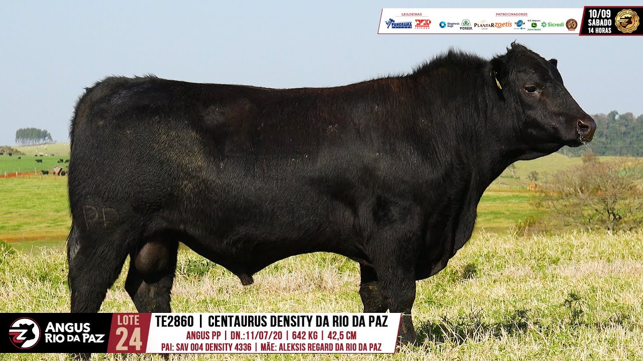 LOTE 24 TE2860 CENTAURUS DENSITY DA RIO DA PAZ, 10/09 14H PANORAMA ...