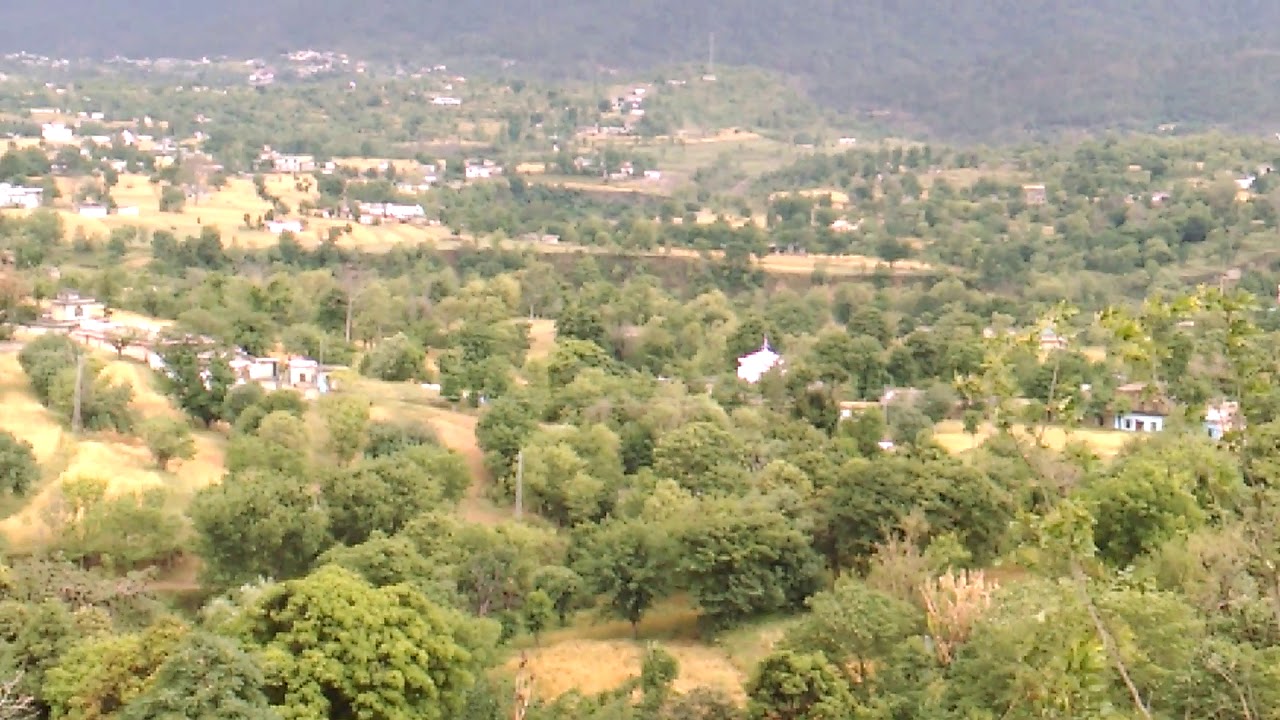 Panjera sarsawa - YouTube