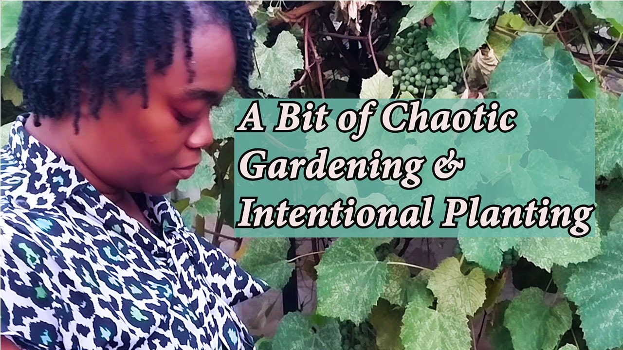 Episode 63: Hope to get Success| Silent Chaotic Gardening & Intentional ...