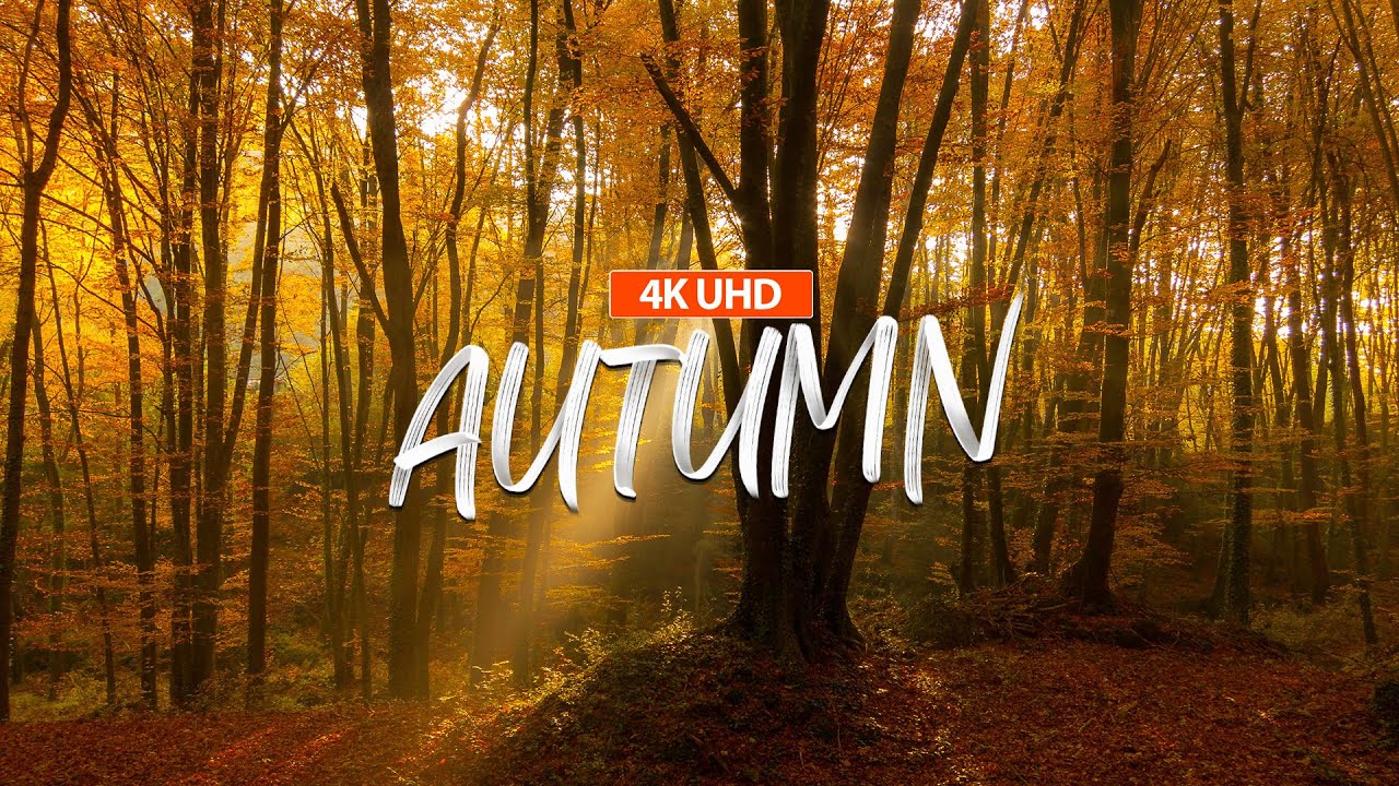 Fascinating autumn scenes | Relaxing music for stress relief | Autumn ...