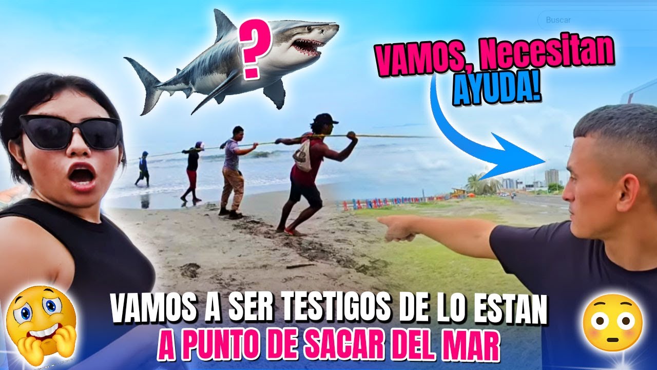MIRA lo que están a punto de sacar del mar. LOS BICHOS AYUDAN a estos ...