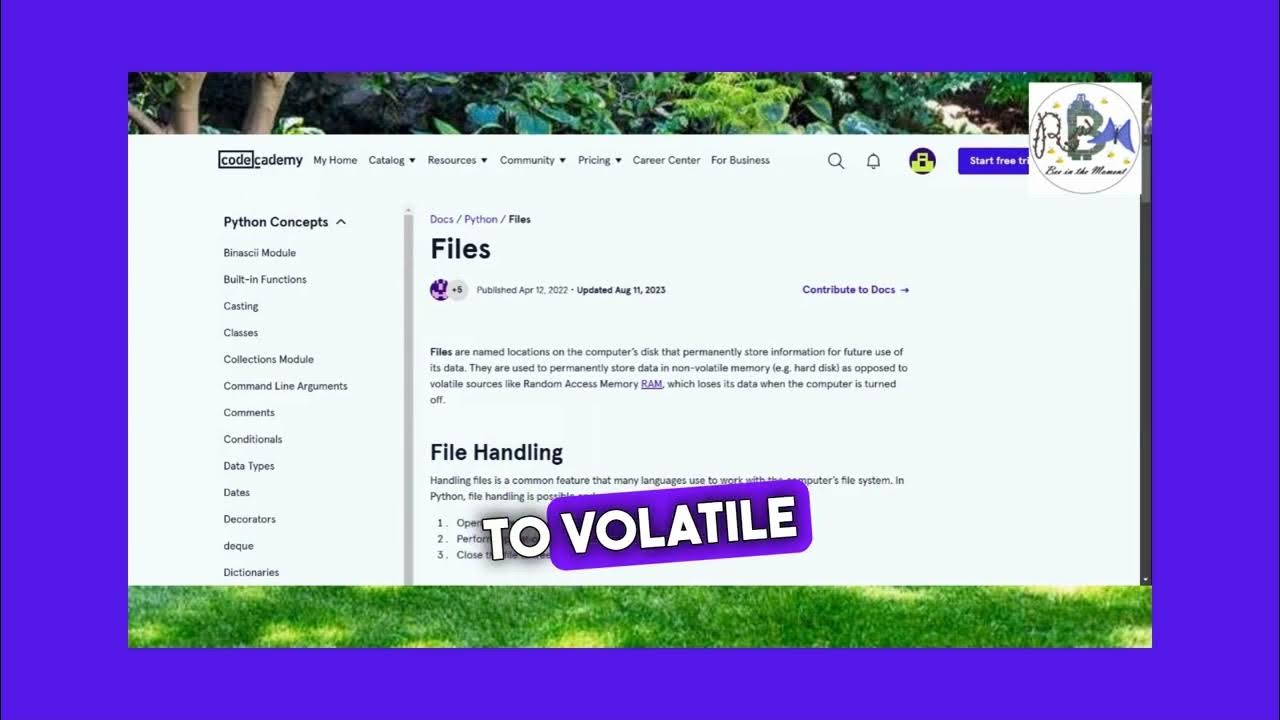 Exploring File Handling in Python - YouTube