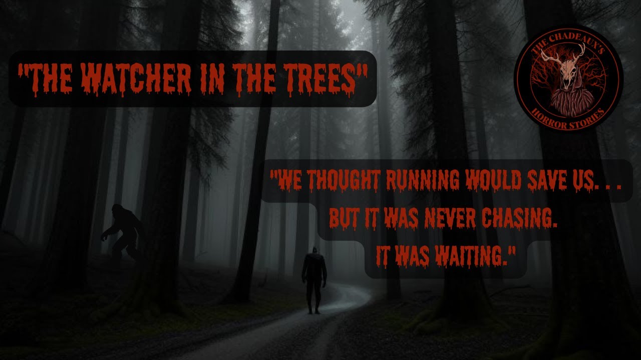 The Watcher in the Trees - YouTube