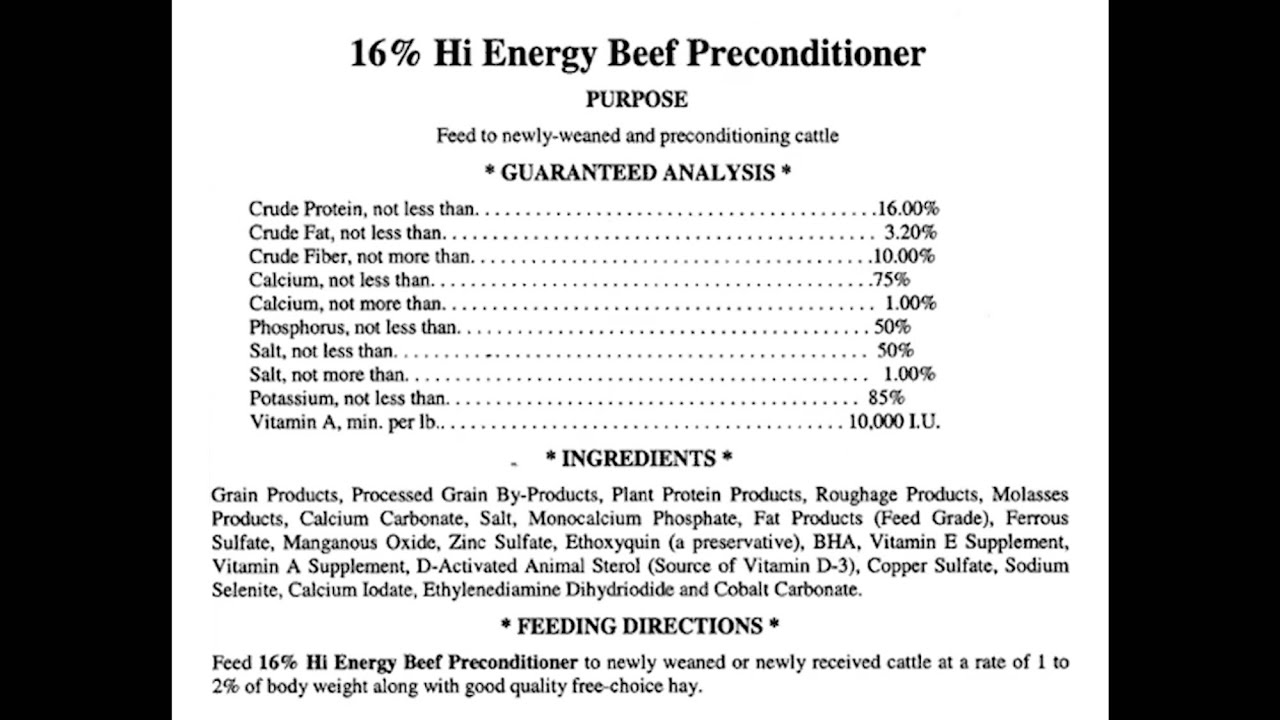 Reading a Feed Tag - YouTube