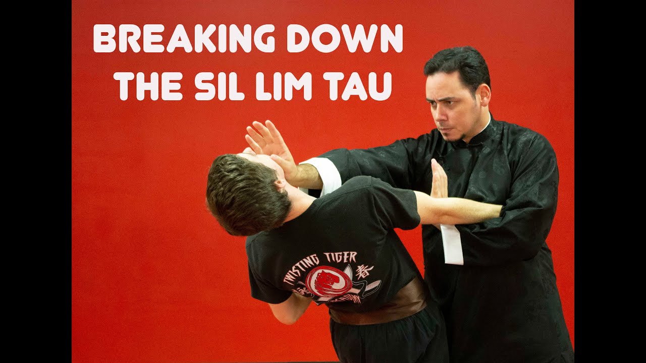 Sil Lim Tau Breakdown - YouTube