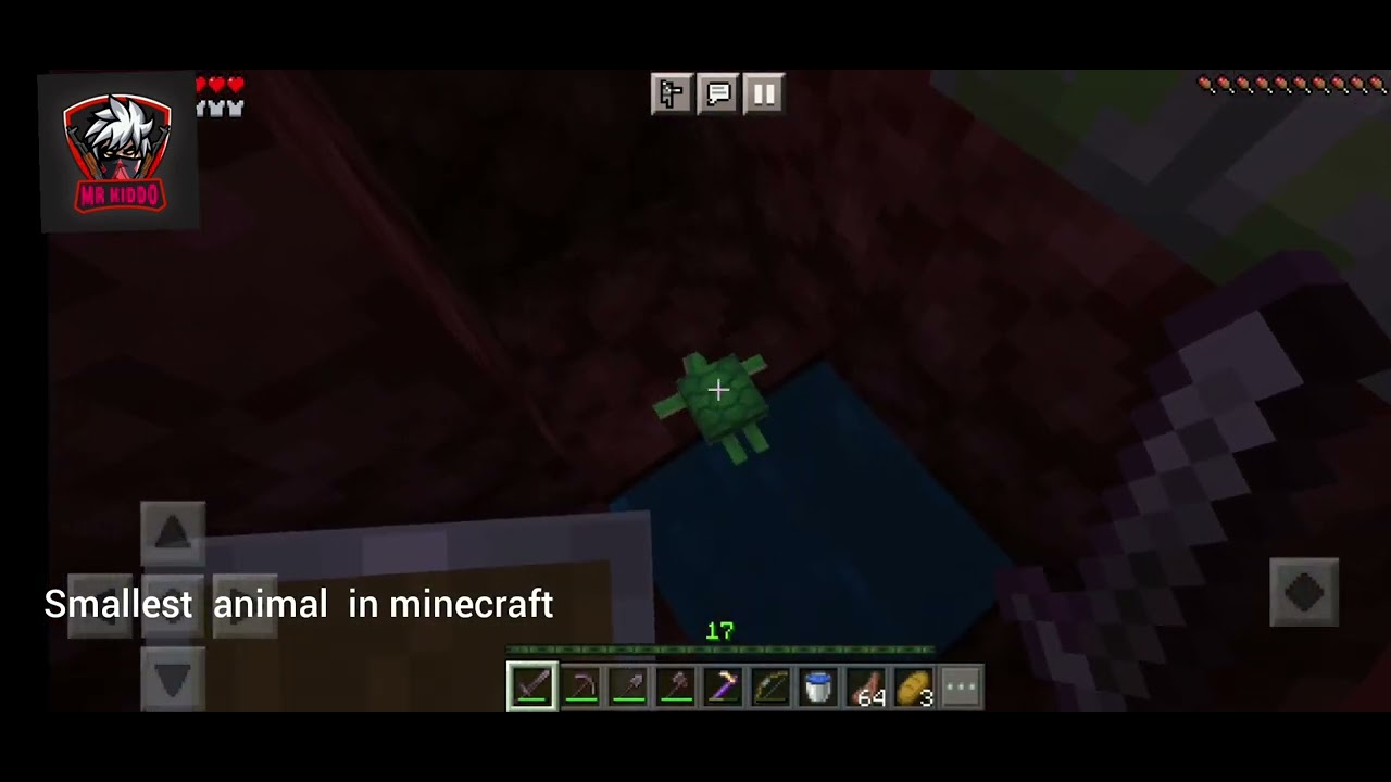 smallest animal in minecraft - YouTube