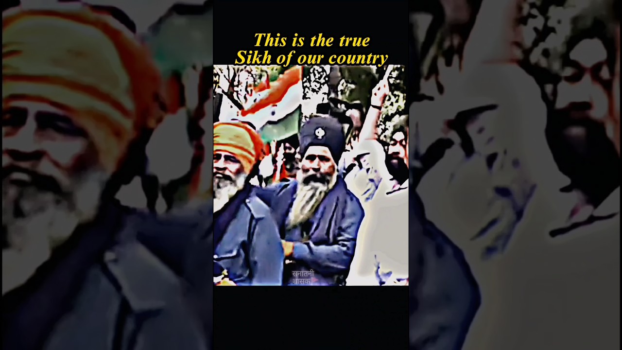 Khalistani Dogs Vs Real Indian Sikh #shorts #sikh #khalistan - YouTube