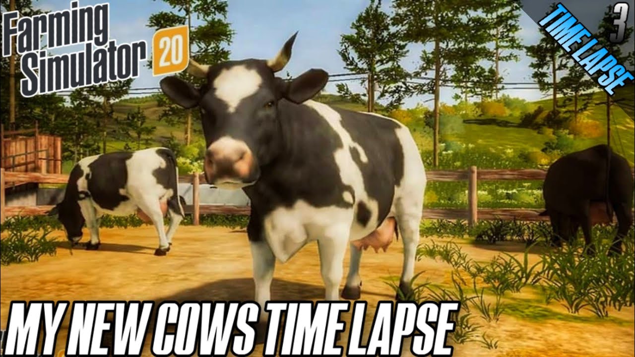Farming Simulator 20 #3 My New Cows Time Lapse Series 3 - YouTube