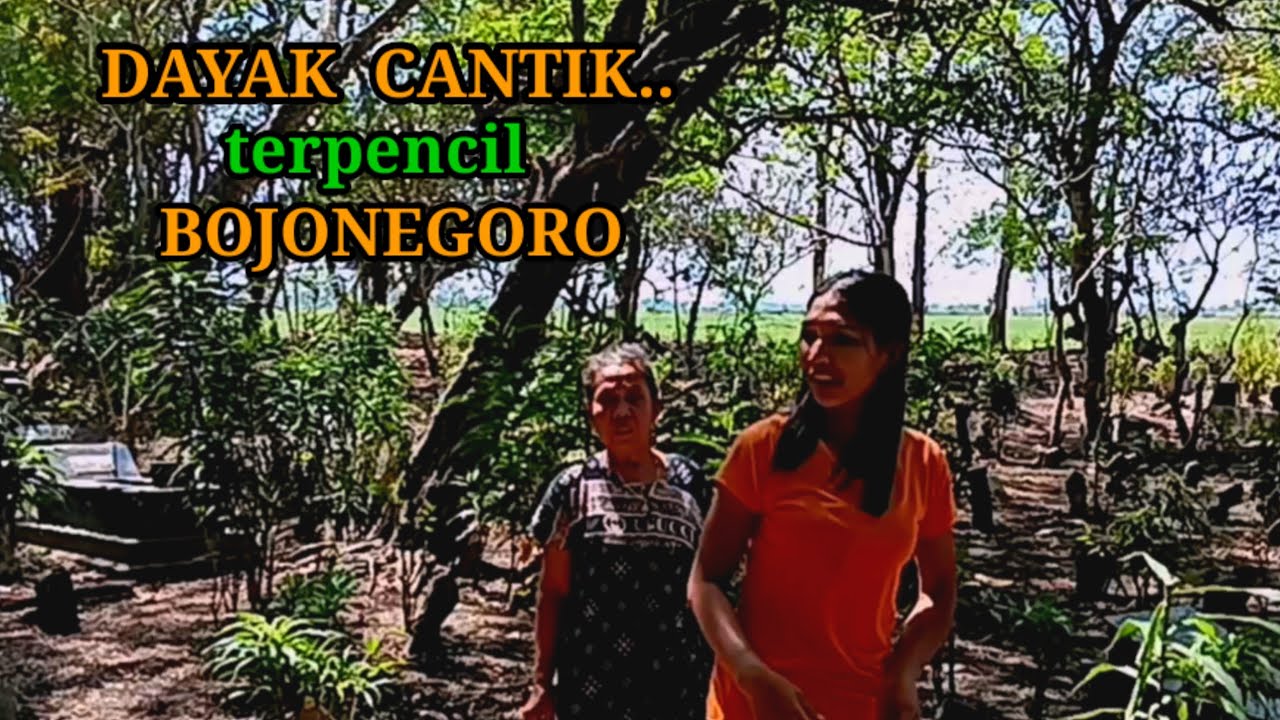 Suku Ahe Dayak Sungai Pinyuh Kalbar terpencil di tengah Suku Jawa ...
