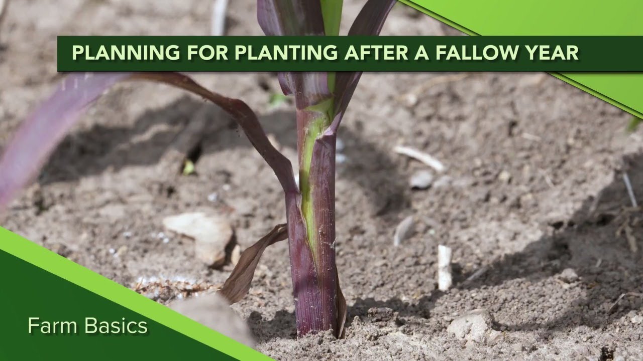 Farm Basics #1117 Planning for planting after a fallow year (Air Date 9 ...