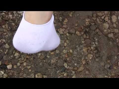 Starla's White Socks in Mud  Snow