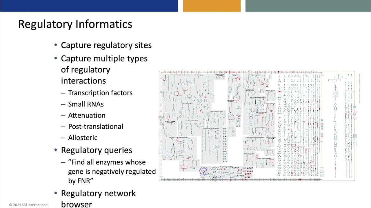 Integrated Pathway/Genome/Omics Informatics in... - Peter Karp - Tech ...