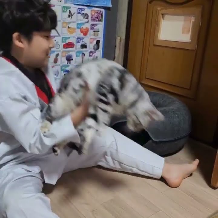 전화기 금강이 Youtube 9852