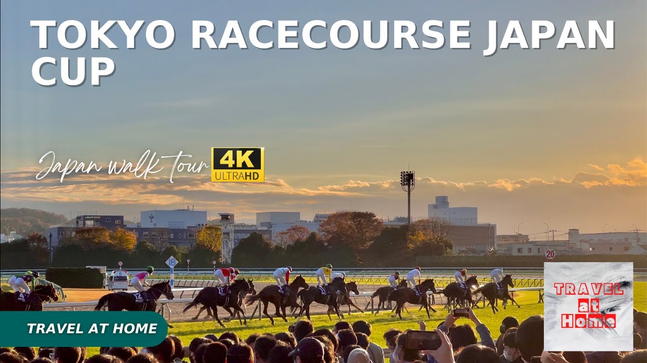 [4KHDR]Japan 4k walk 2022 | Travel at home Walk in Tokyo Racecourse ...