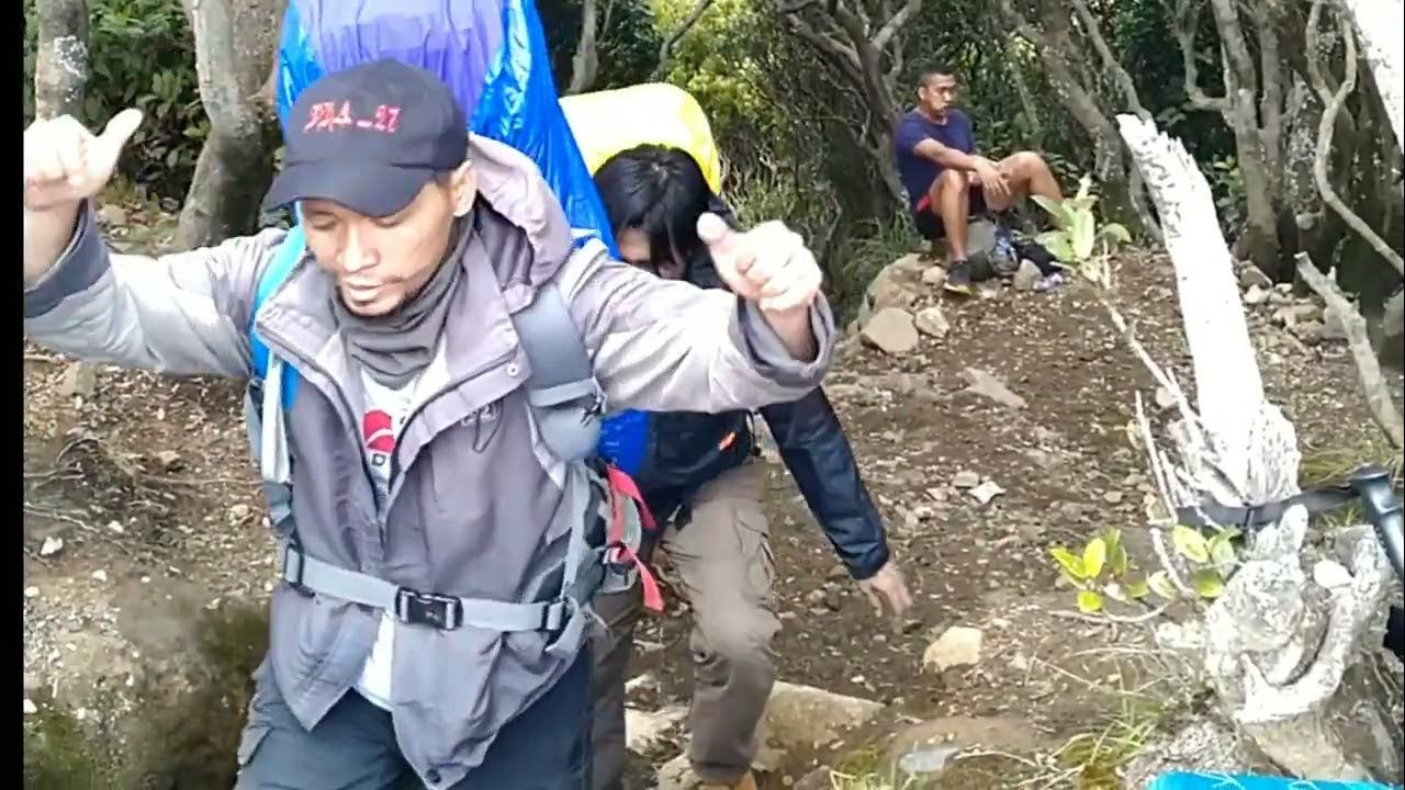 Pendakian Mt. Gede Pangrango Lintas Basecamp Gn. Putri - Cibodas - YouTube