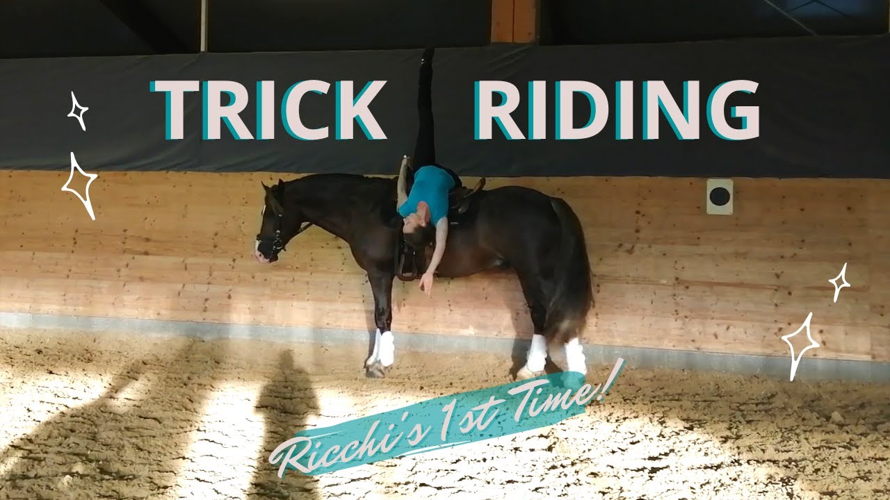 TRAINING VLOG / Ricchi's First Time Trick Riding / Stunt Horse - YouTube
