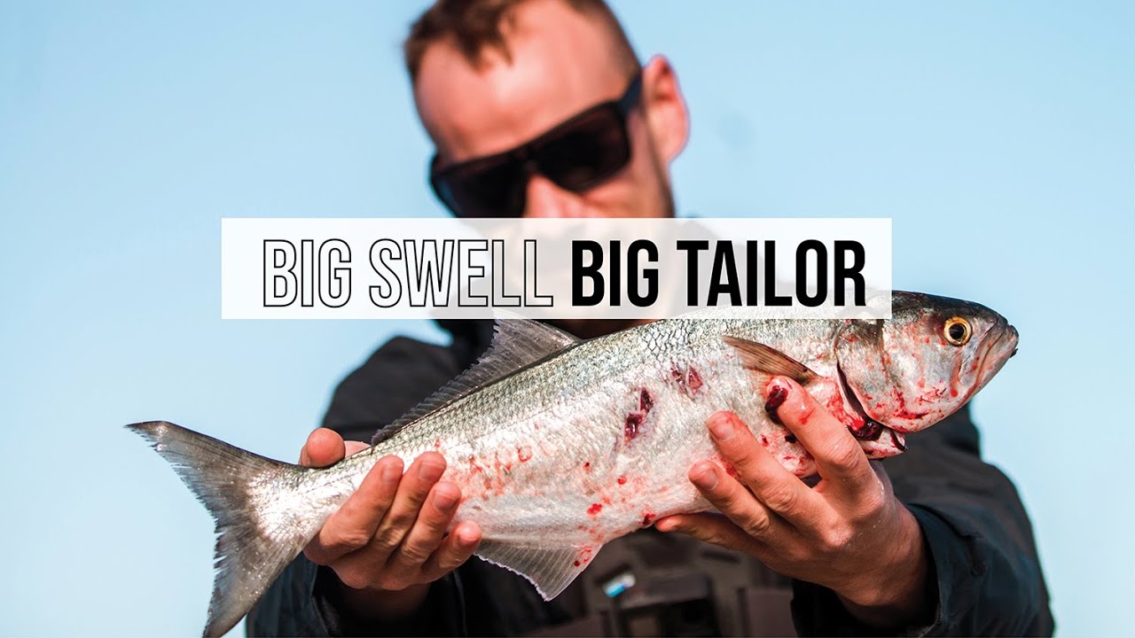 Big Swell Big Tailor | Rock Fishing | Gold Coast, Australia - YouTube