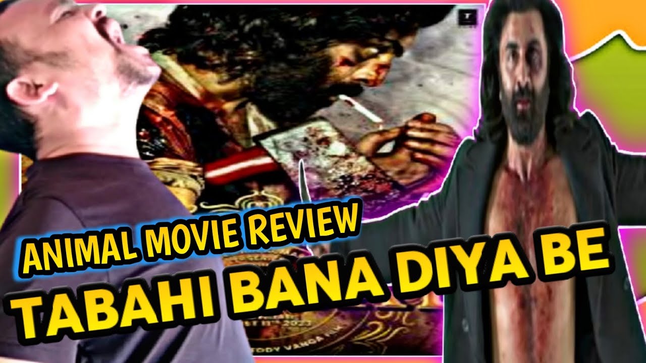 Animal Hindi movie review|Animal public review|Animal review|Ranbir ...