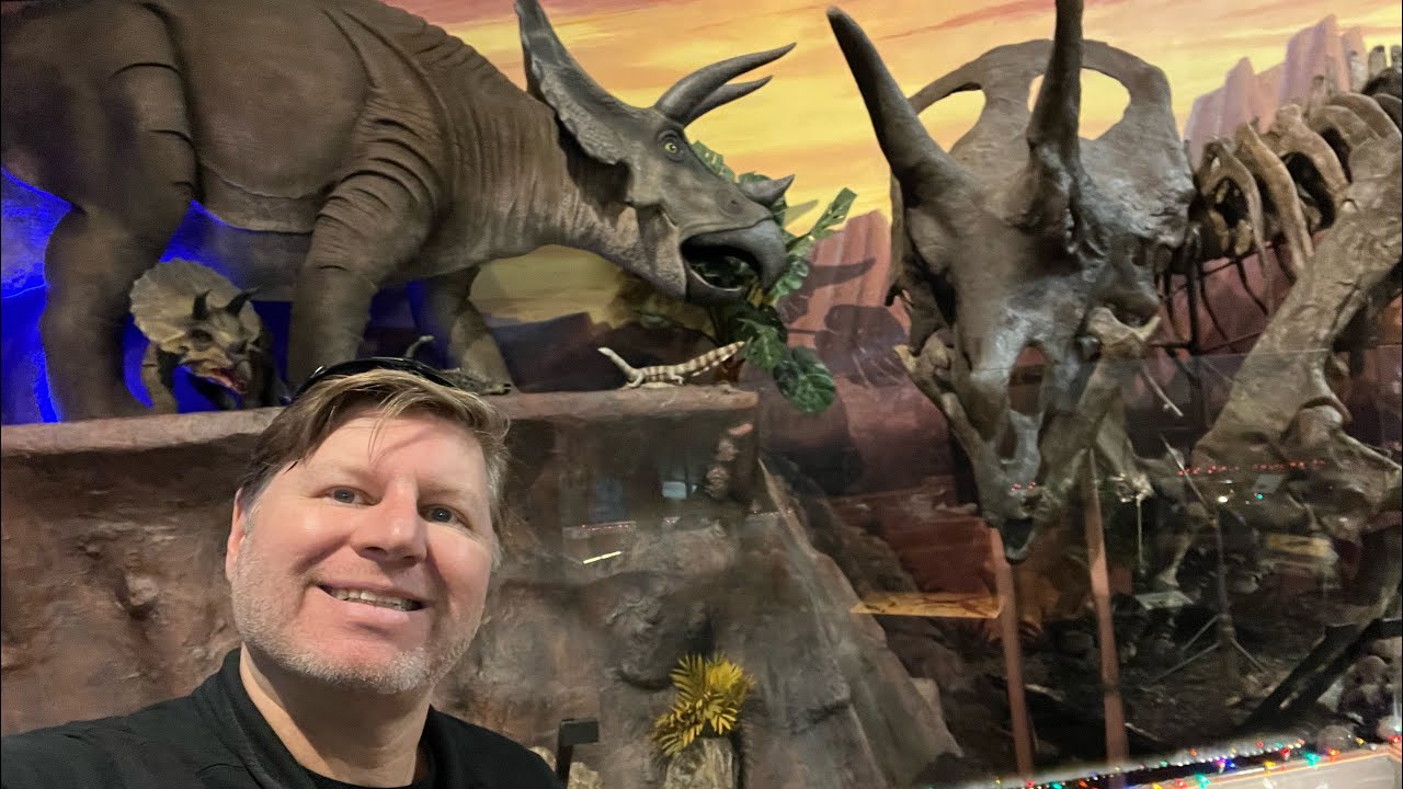 Private Fossil Collection Turned into a Museum | Learning About Ancient ...
