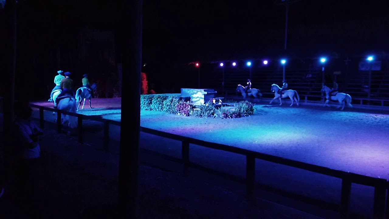 TRAVESÍA PANACA(2) - YouTube