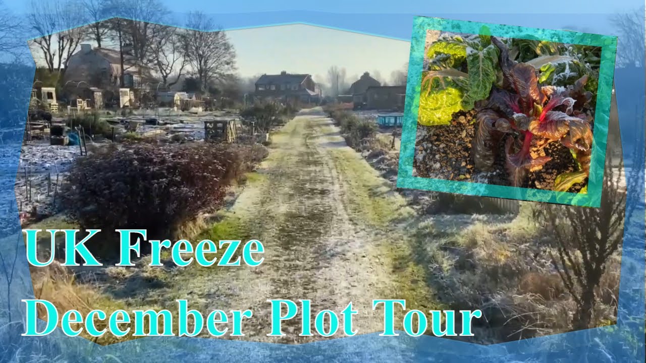 UK FREEZE | DECEMBER PLOT TOUR - YouTube