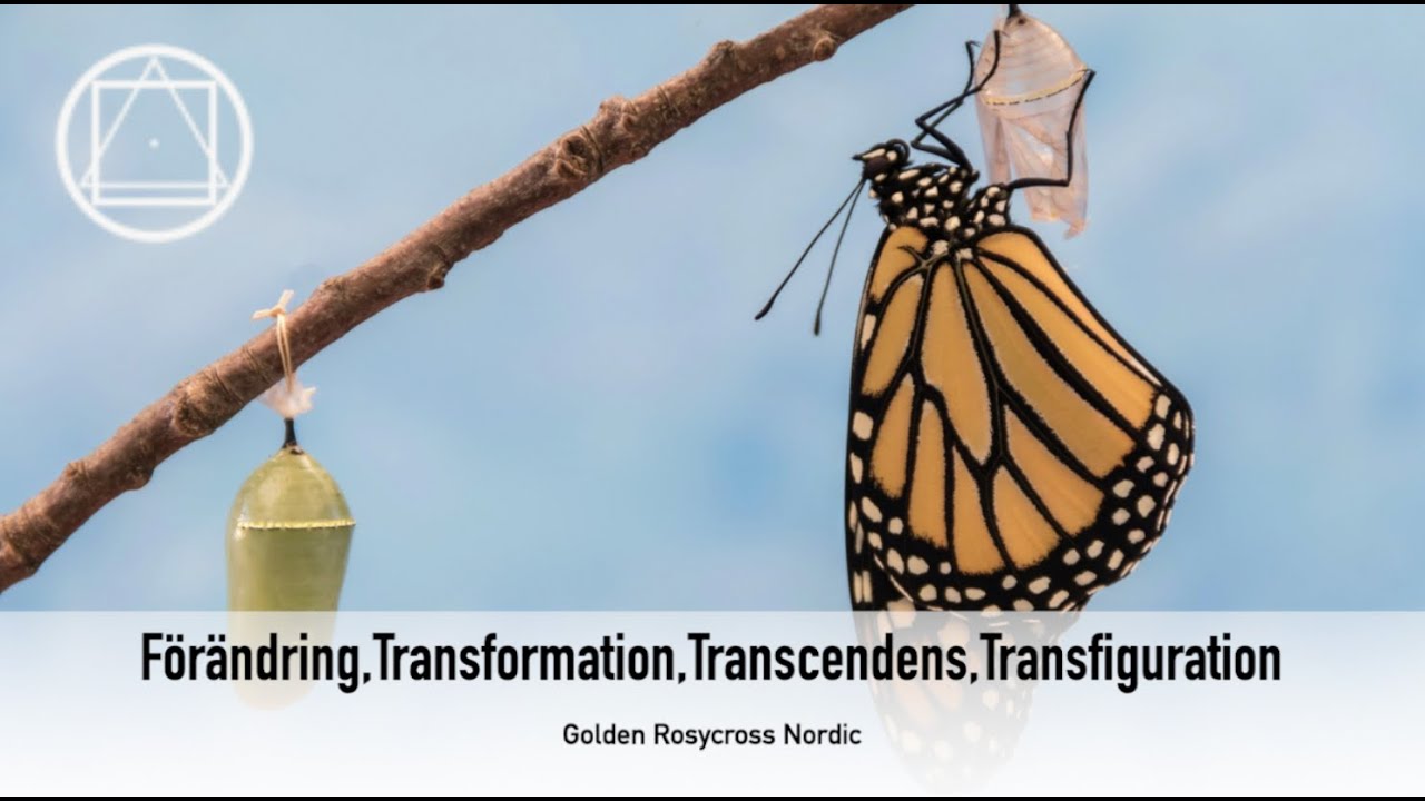 Förändring, Transformation, Transcendens, Transfiguration - YouTube
