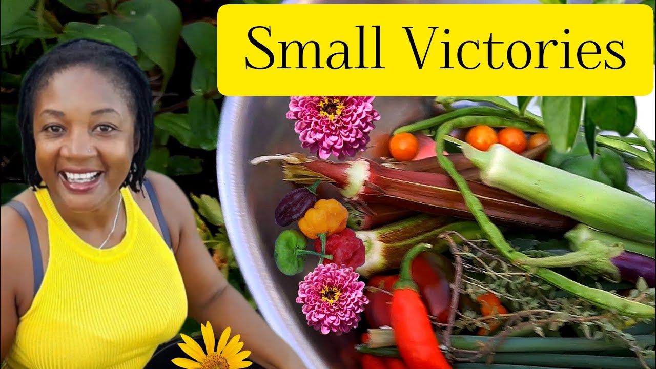Small Victories! Celebrating my Beautiful Backyard Container Garden 🪴 🌱 - YouTube