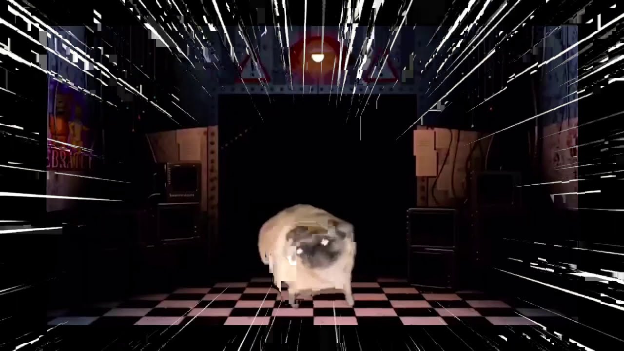 Pug dancing to fnaf music box but its fast - YouTube