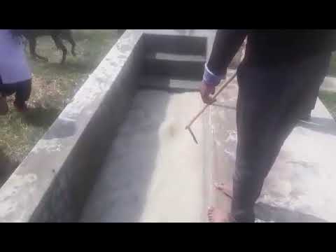 Deeping system goat - YouTube