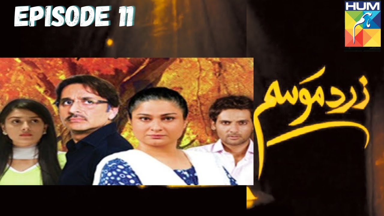ZARD mausum 11 | Ayeza Khan | Mohib Mirza | Sania Saeed | Hum Tv - YouTube