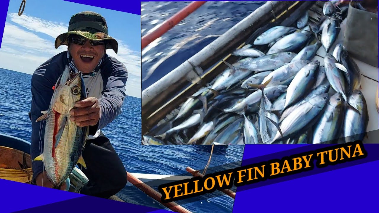 PAHILA AT KASKAS YELLOW FIN TUNA HULI! DEEPSEA FISHING - YouTube