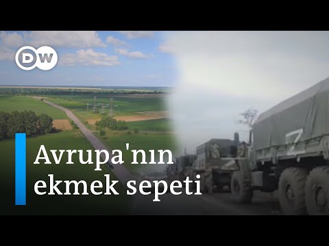 Rusya'nın Ukrayna'yı işgalinde hammadde zenginliğinin rolü var mı? - DW Türkçe