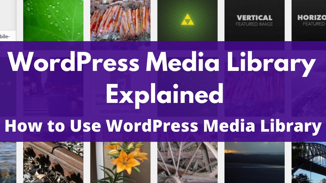 WordPress Media Library Explained | How to Use WordPress Media Library ...