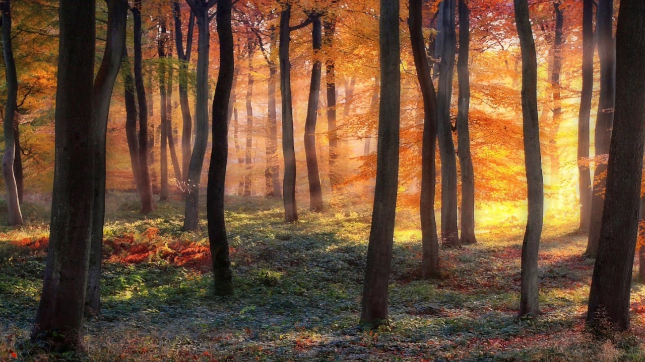 Crispy Man — Autumn (8D) [Remastered 2020] - YouTube