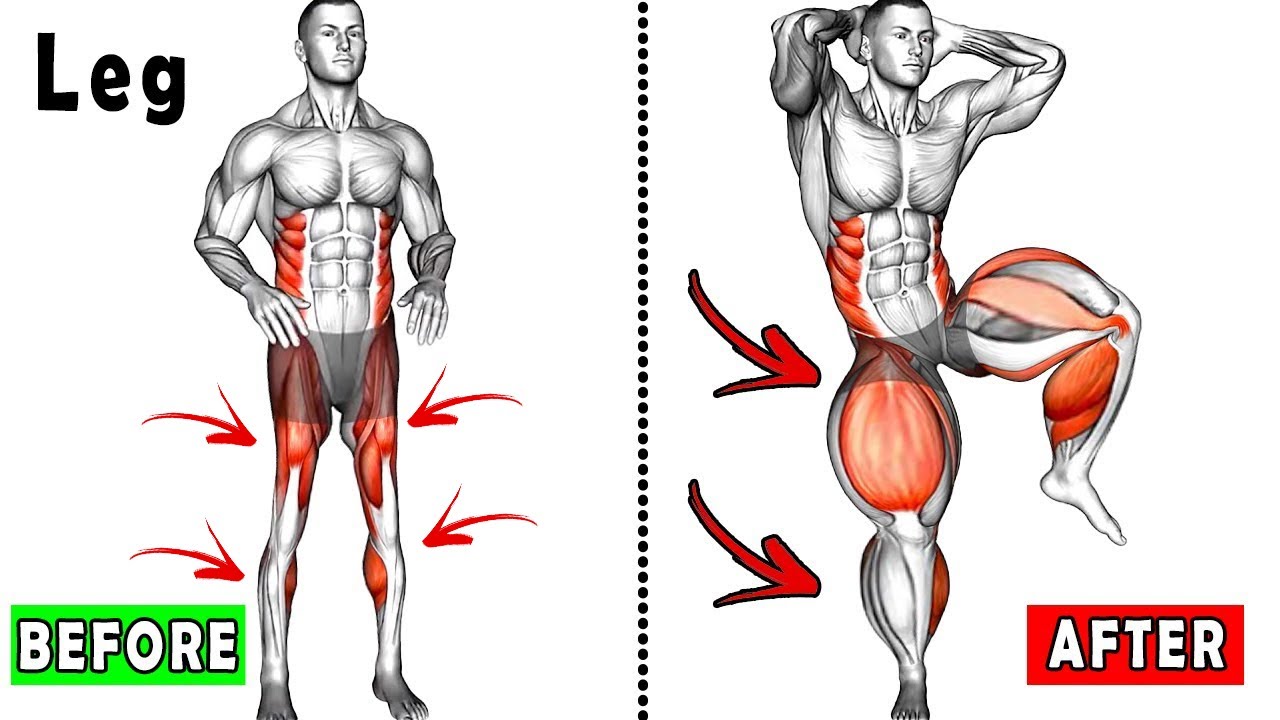 8 Best Exercises - How to build Leg fast - LEG WORKOUT - YouTube