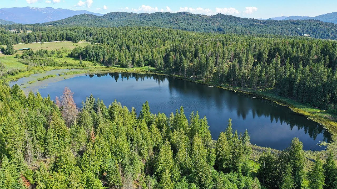 The Shore at Livermore Lake - YouTube