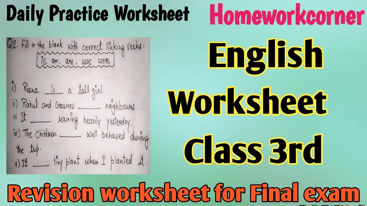 English Worksheet Class 3rd || English for Grade 3 || English Grammar ...