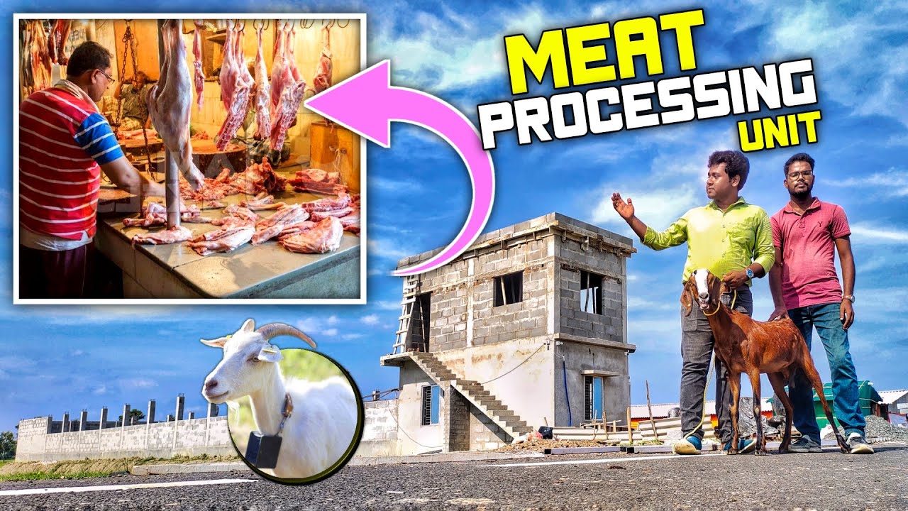 MEAT PROCESSING UNIT | মাংস উৎপাদন কেন্দ্র পশ্চিমবঙ্গ | Meat Cutting - YouTube