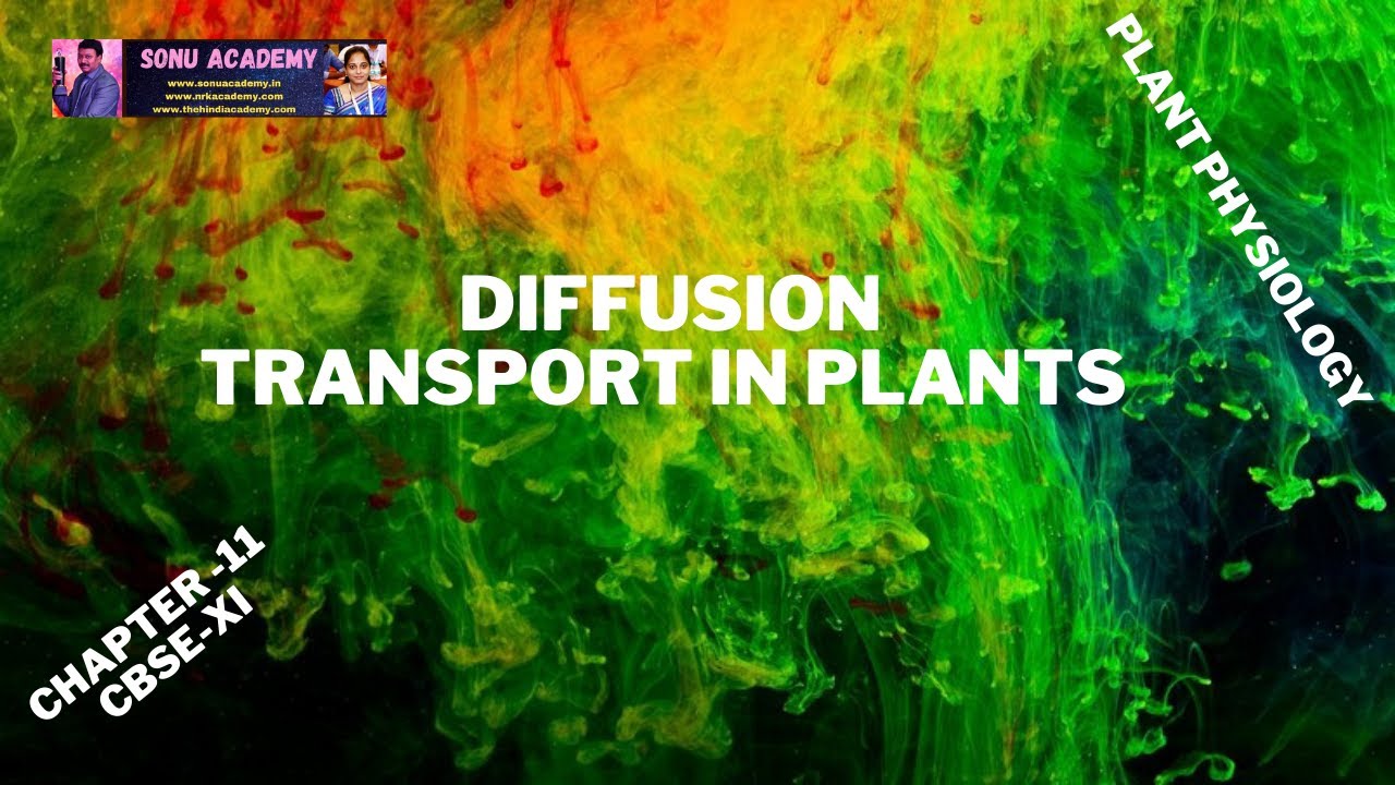 Diffusion | Plant Physiology | UNIT 4 | Transport in Plant | Chapter 11 ...