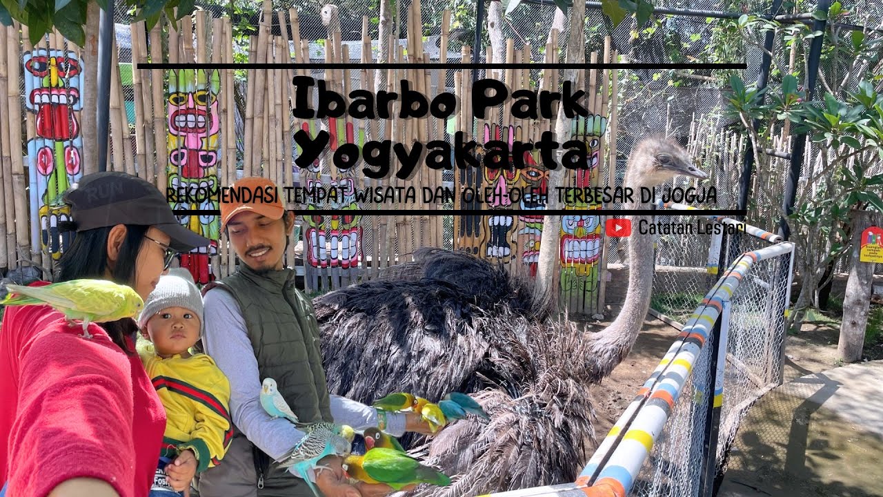 INTERAKSI LANGSUNG DENGAN BERBAGAI JENIS BURUNG⁉️|| IBARBO PARK ...